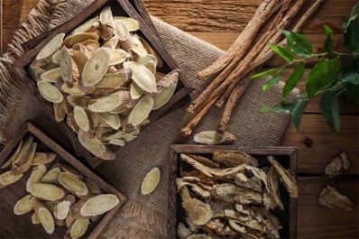 Đẳng Sâm: Tác Dụng Và Cách Sử Dụng Để Bồi Bổ Cơ Thể