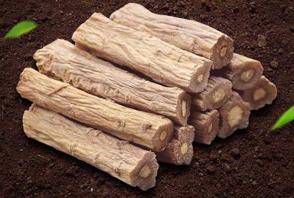 Đẳng Sâm: Tác Dụng Và Cách Sử Dụng Để Bồi Bổ Cơ Thể