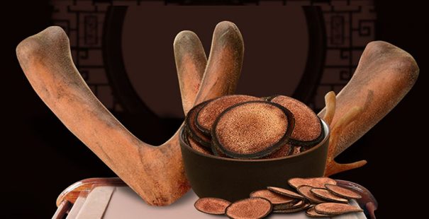 Nhung Hươu (Lộc Nhung): Tác Dụng Và Cách Dùng Bồi Bổ Cơ Thể